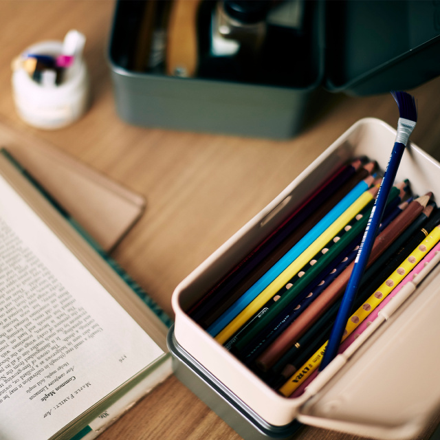 Raaco Opbevaringskasse med 12 rum Dusty Rose | Pen Store